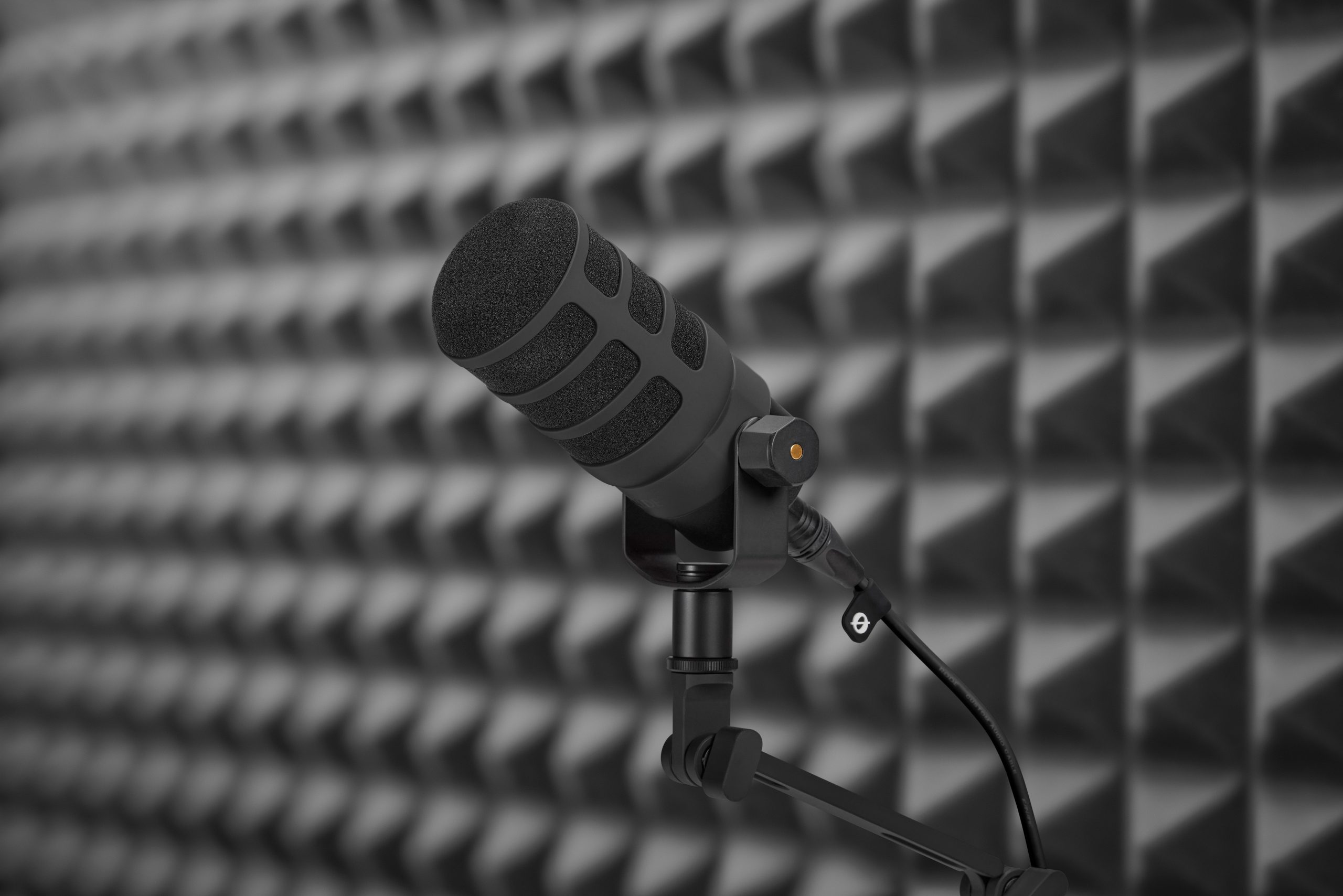 RODE WS14 Deluxe Pop Filter - Pacific Hi Fi