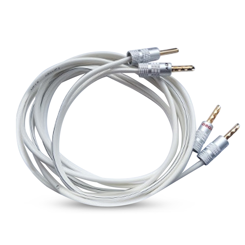 BLUE AURA 2 X 2 MTR PREMIUM LOUDSPEAKER CABLE - Pacific Hi Fi