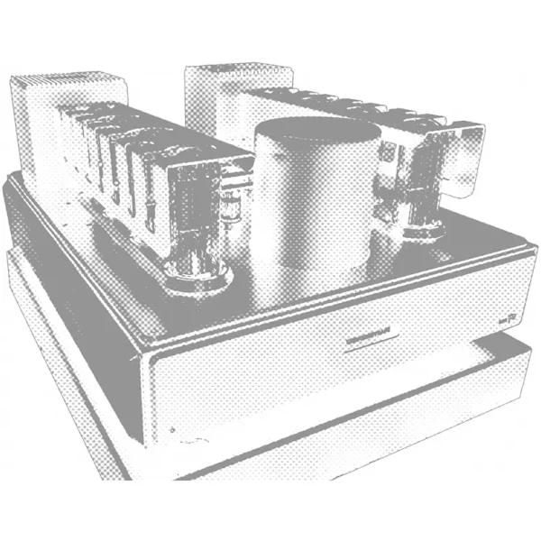 Conquer Exceptional Sound with Mastersound PF 200 Monoblock Tube Amplifier